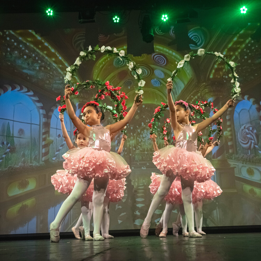 Camelia Studio Academia De Danza Y Deporte